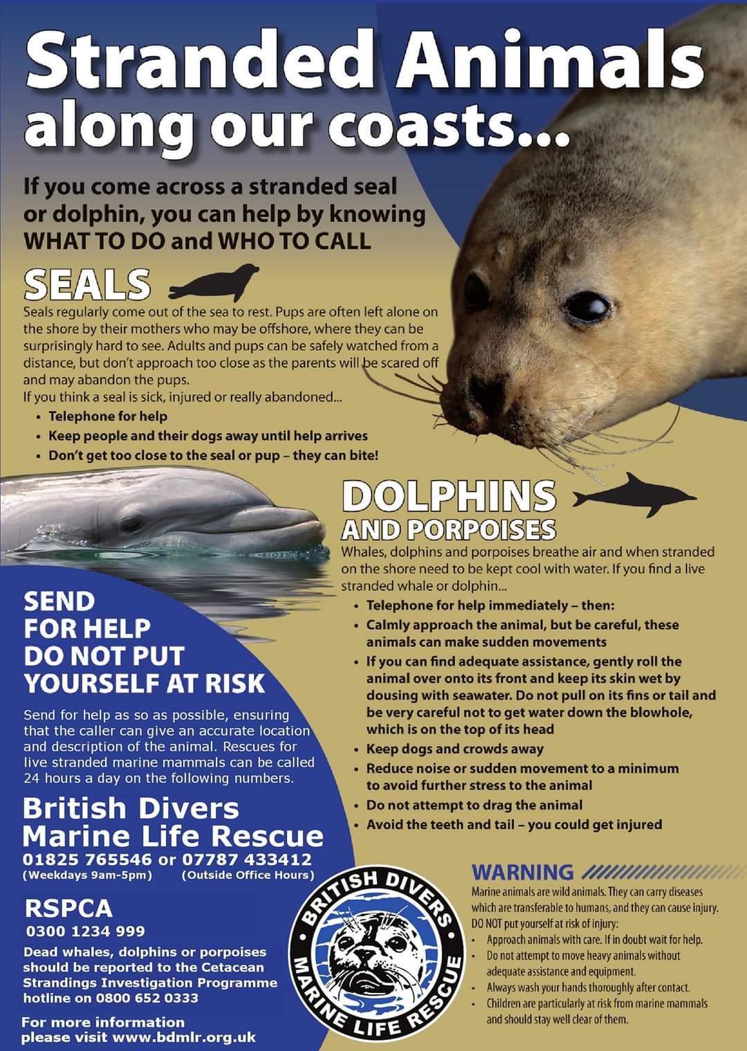 Seal – WeCare Wildlife Rescue